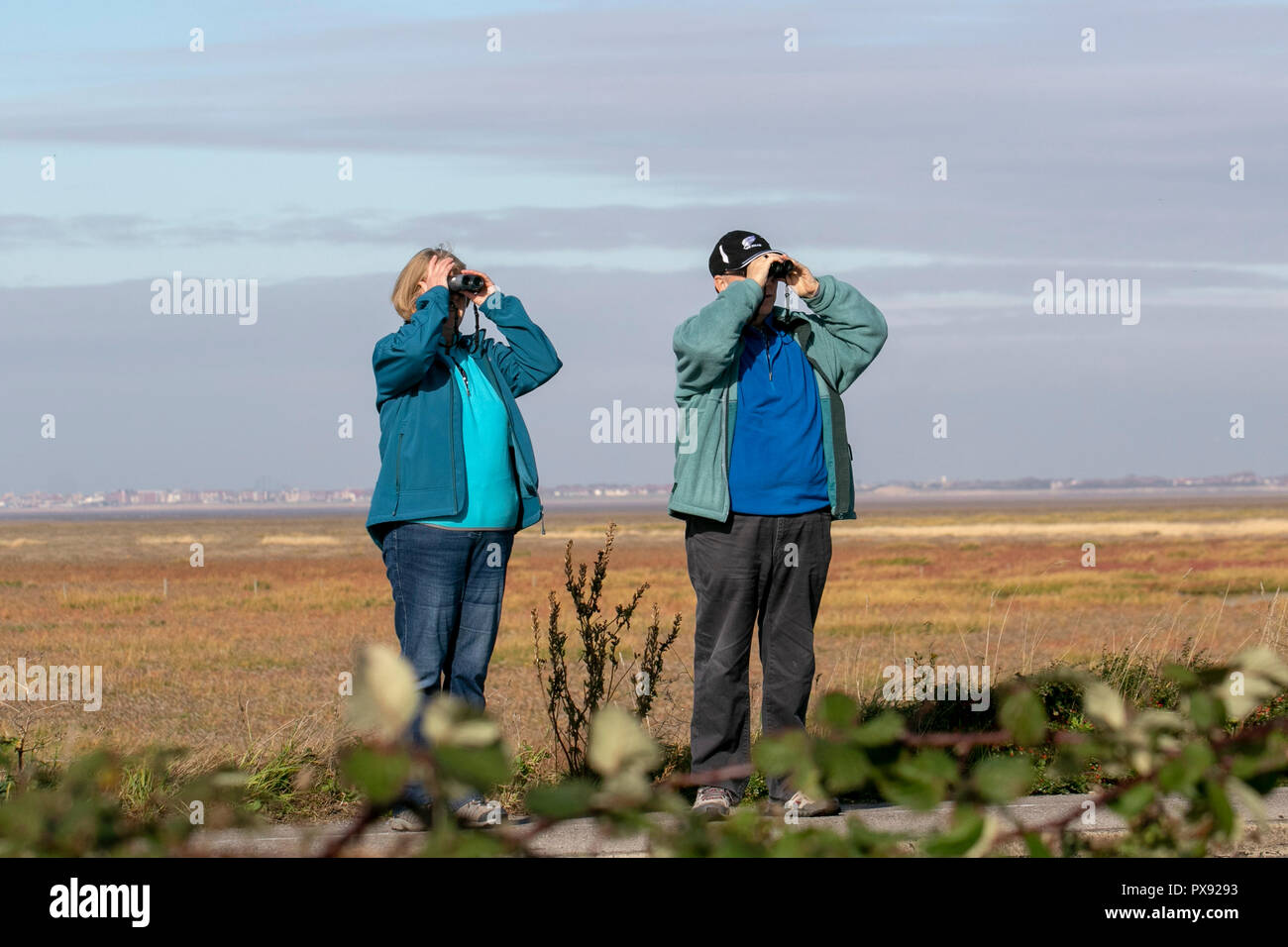 Birding identification hi-res stock photography and images - Alamy