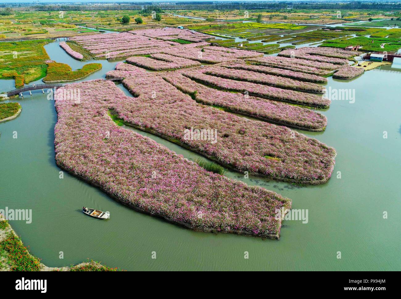 Jiangsu xinghua hi-res stock photography and images - Alamy
