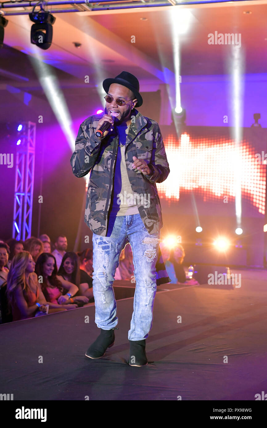 MIAMI GARDENS, FL - OCT 19: The Miami Dolphins Cheerleaders Swimsuit ...