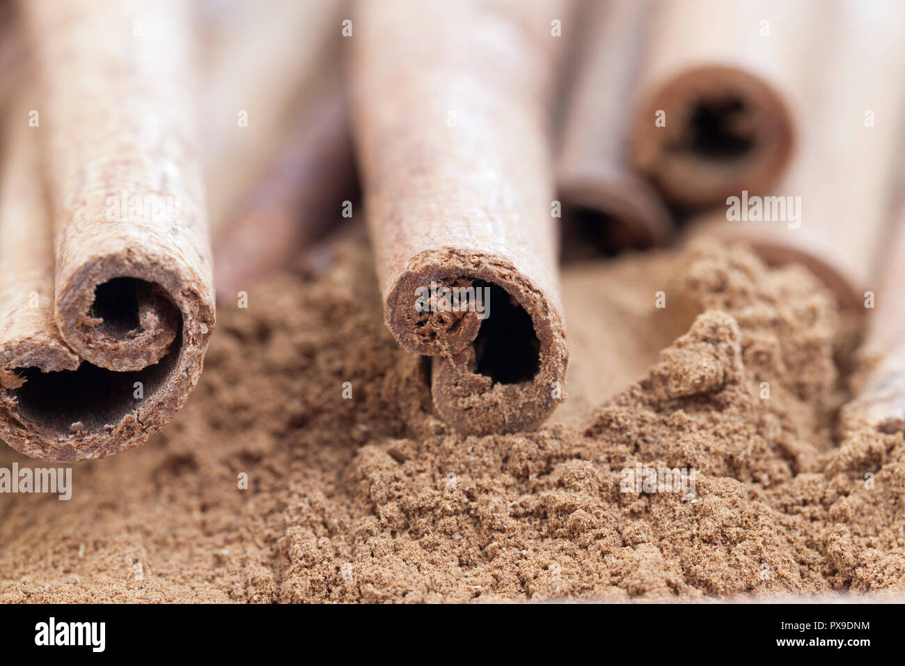 twisted fragrant cinnamon bark along with a shabby light powder of ...