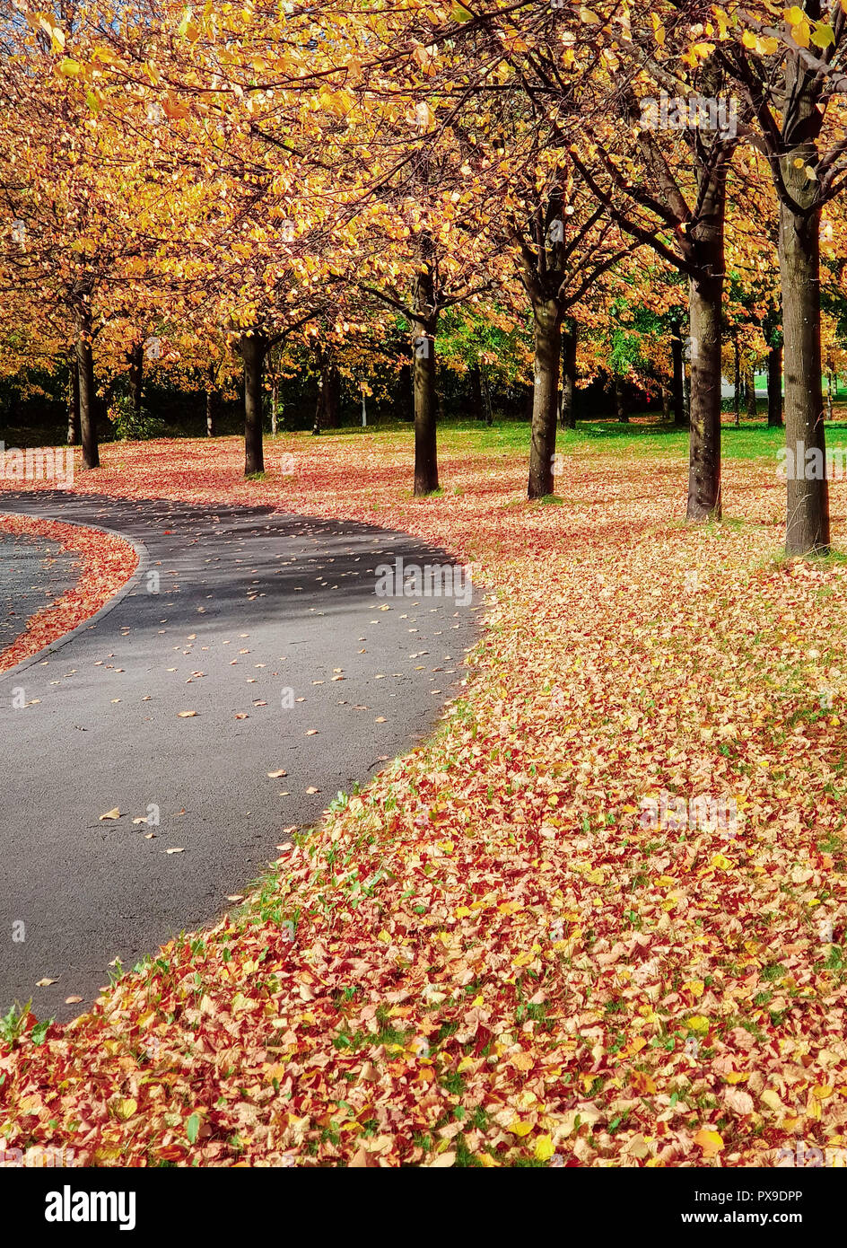 Manchester fall hi-res stock photography and images - Alamy