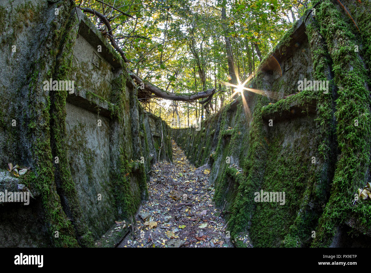 Ruined trenches in central europe. Old reinforced concrete German ...