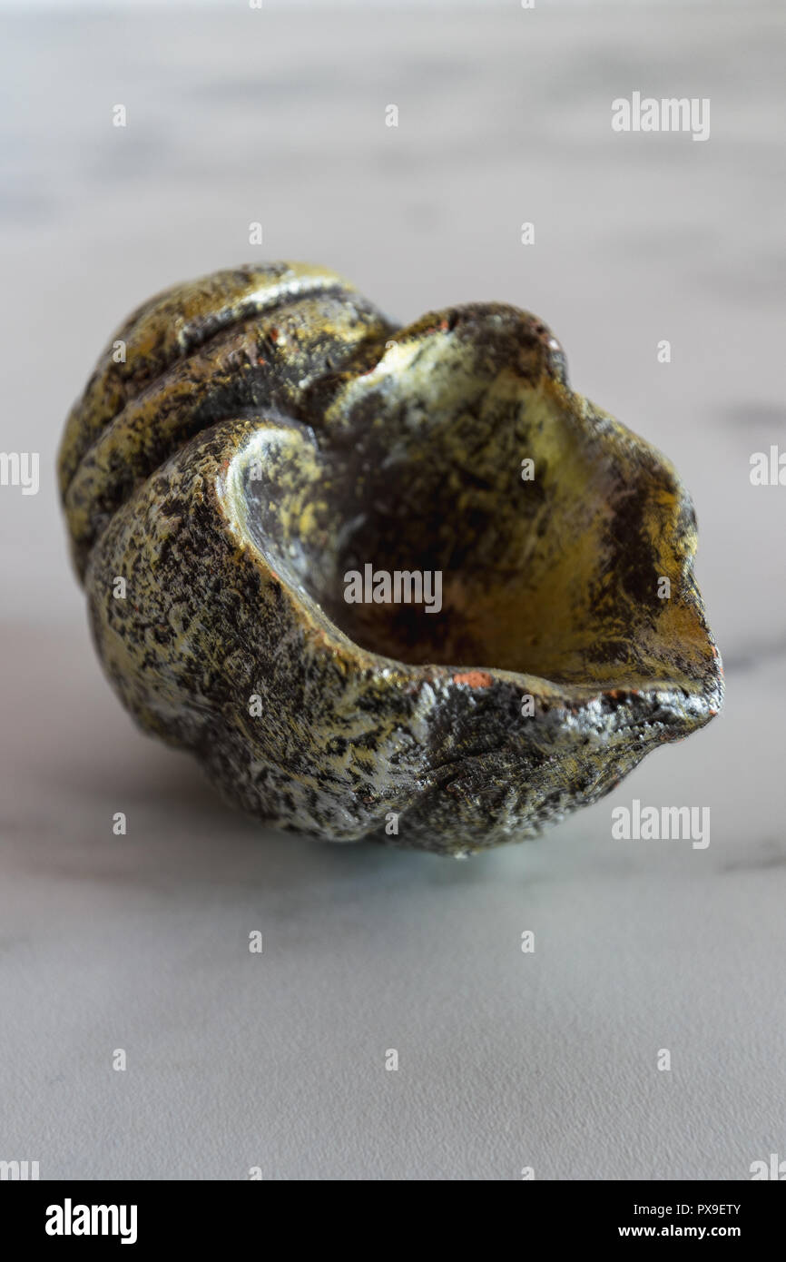 Clam shell hole hi-res stock photography and images - Alamy