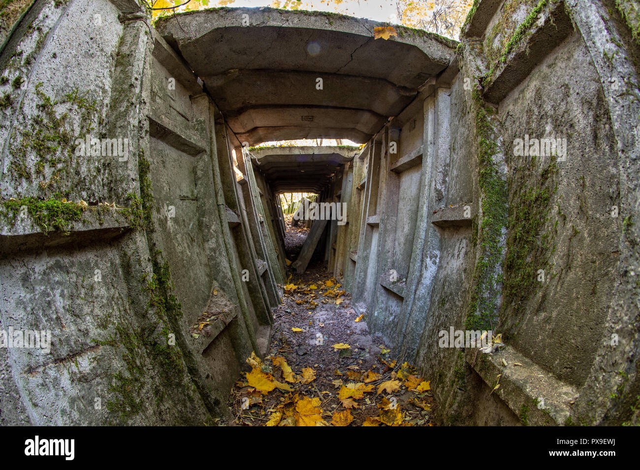 Ruined trenches in central europe. Old reinforced concrete German ...