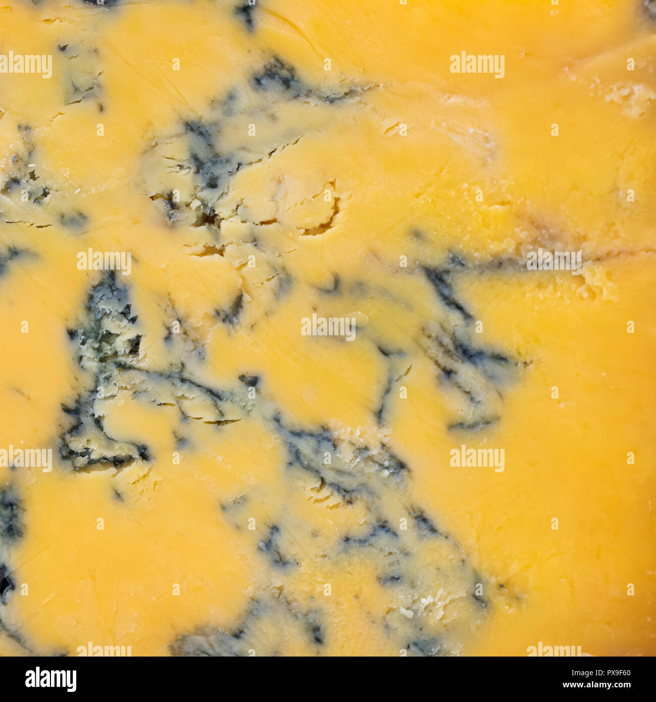 Traditional english blue cheese hi-res stock photography and images - Alamy