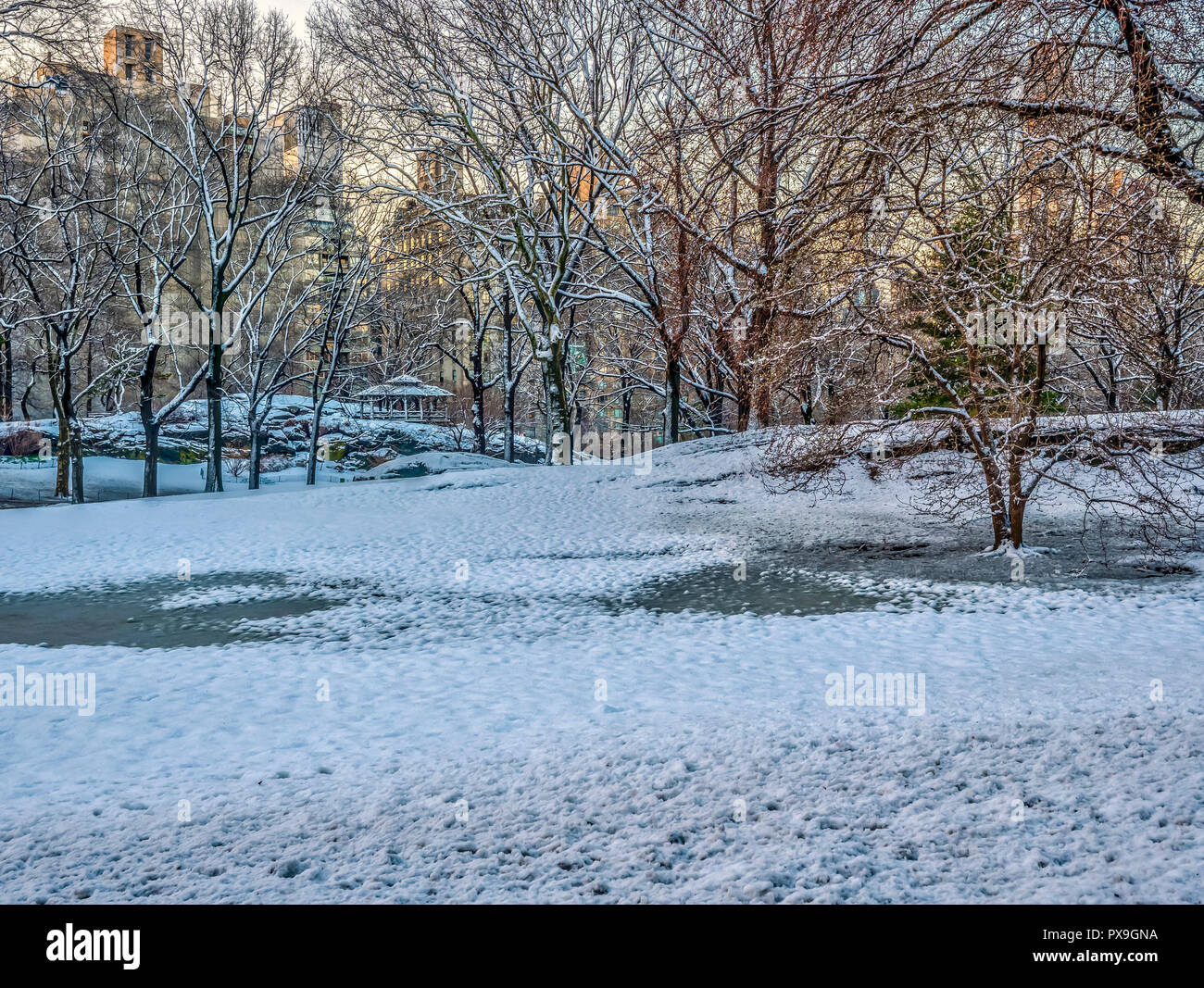 Central Park, Manhattan, New York City in winter,after snow storm Stock ...
