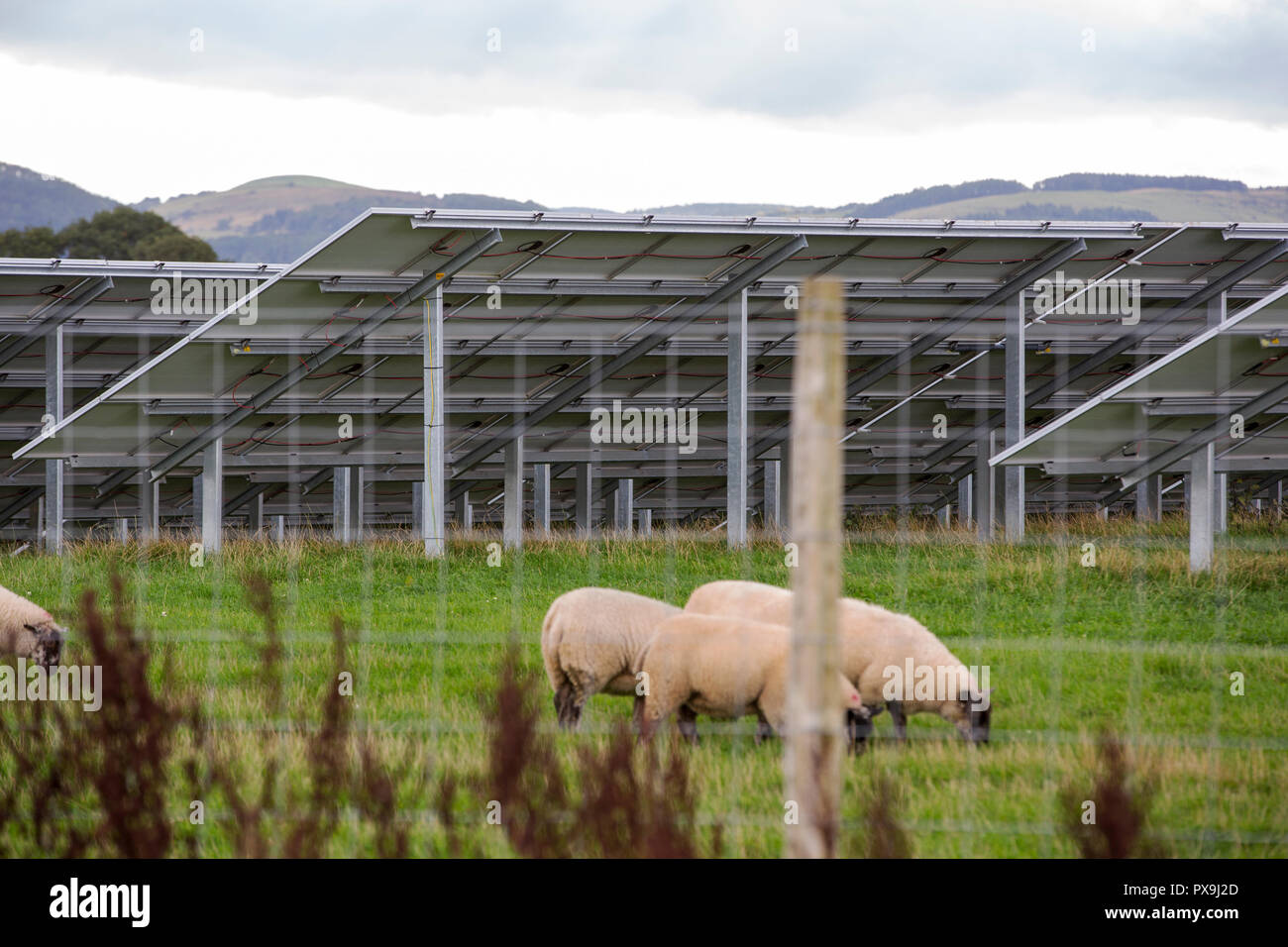 Errol estate hi-res stock photography and images - Alamy