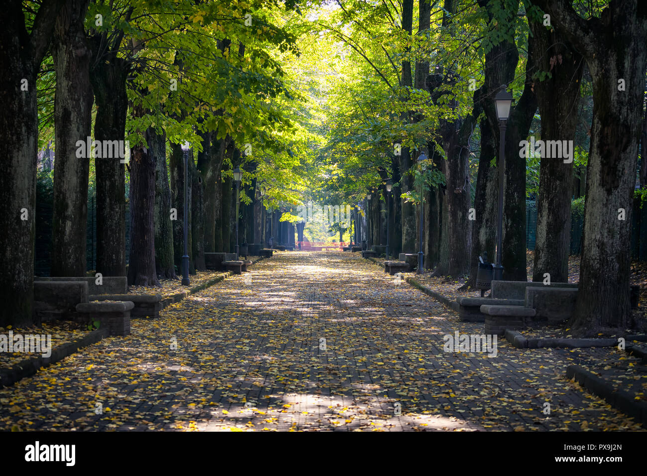 Foot lamps hi-res stock photography and images - Alamy
