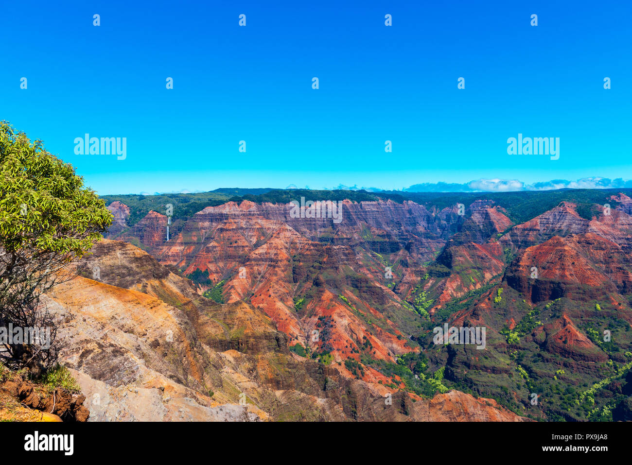 Amazing Waimea canyon in Kauai, Hawaii islands. Copy space for text ...