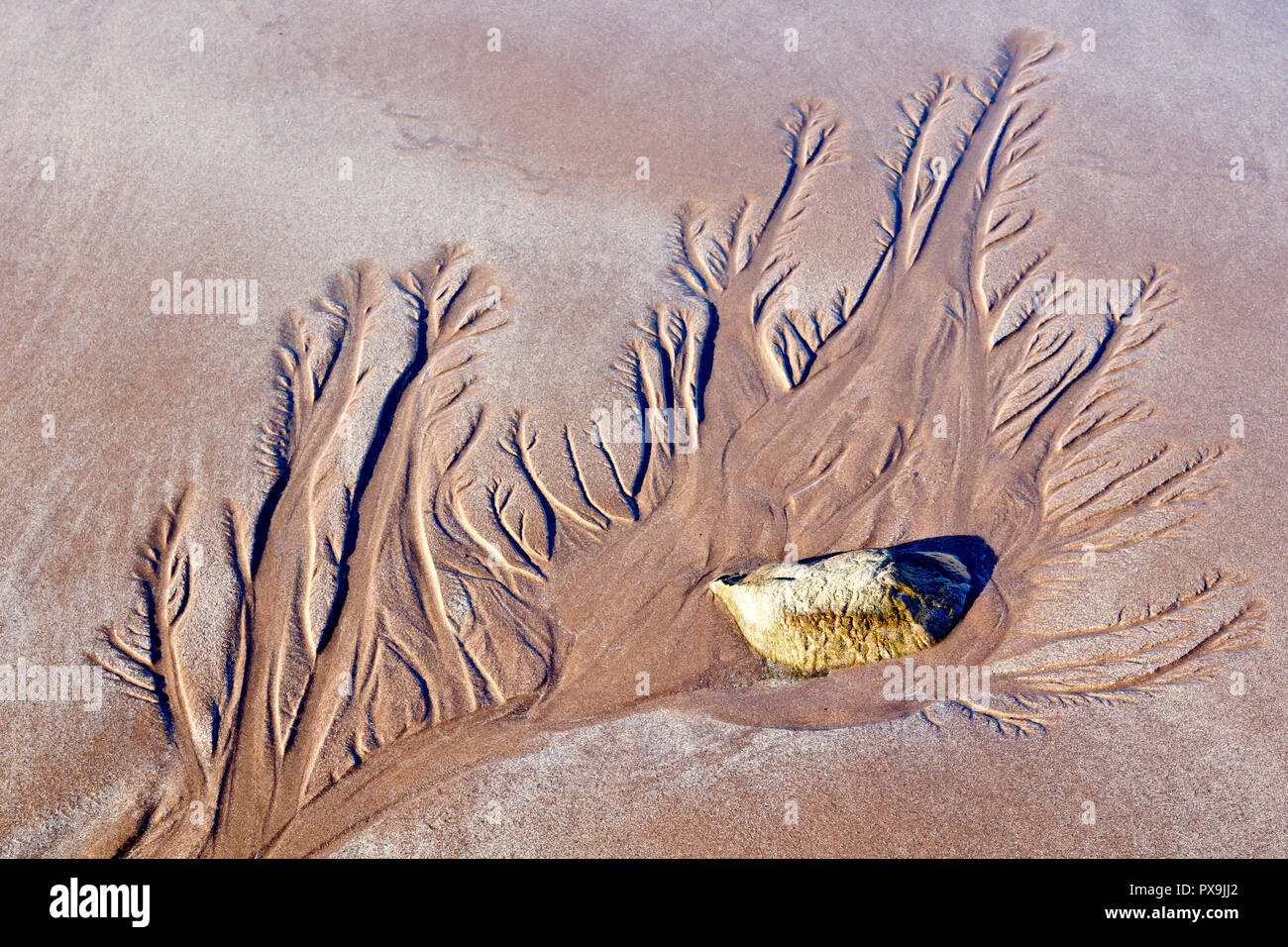 Sand rivulets pattern hi-res stock photography and images - Alamy