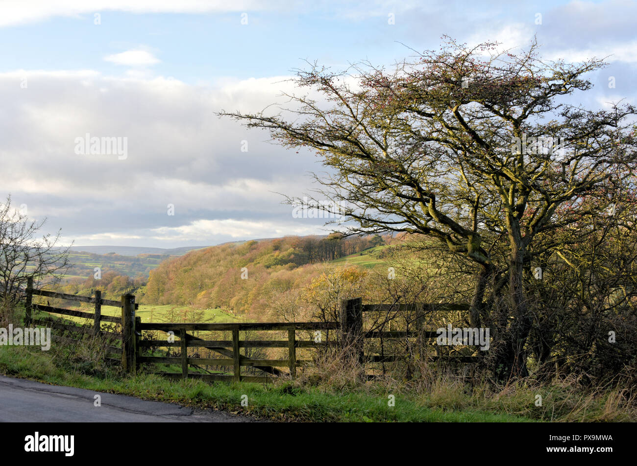 Through the gate to the scenery hi-res stock photography and images - Alamy