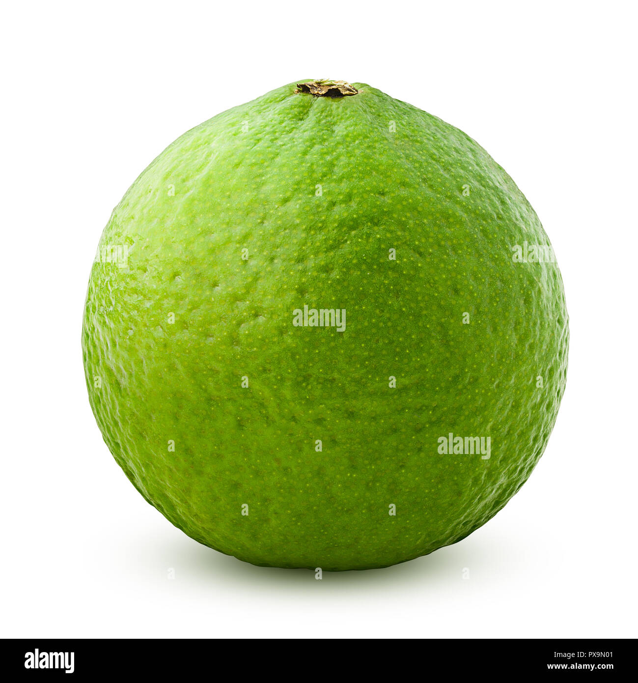 lime isolated on white background, clipping path, full depth of field ...