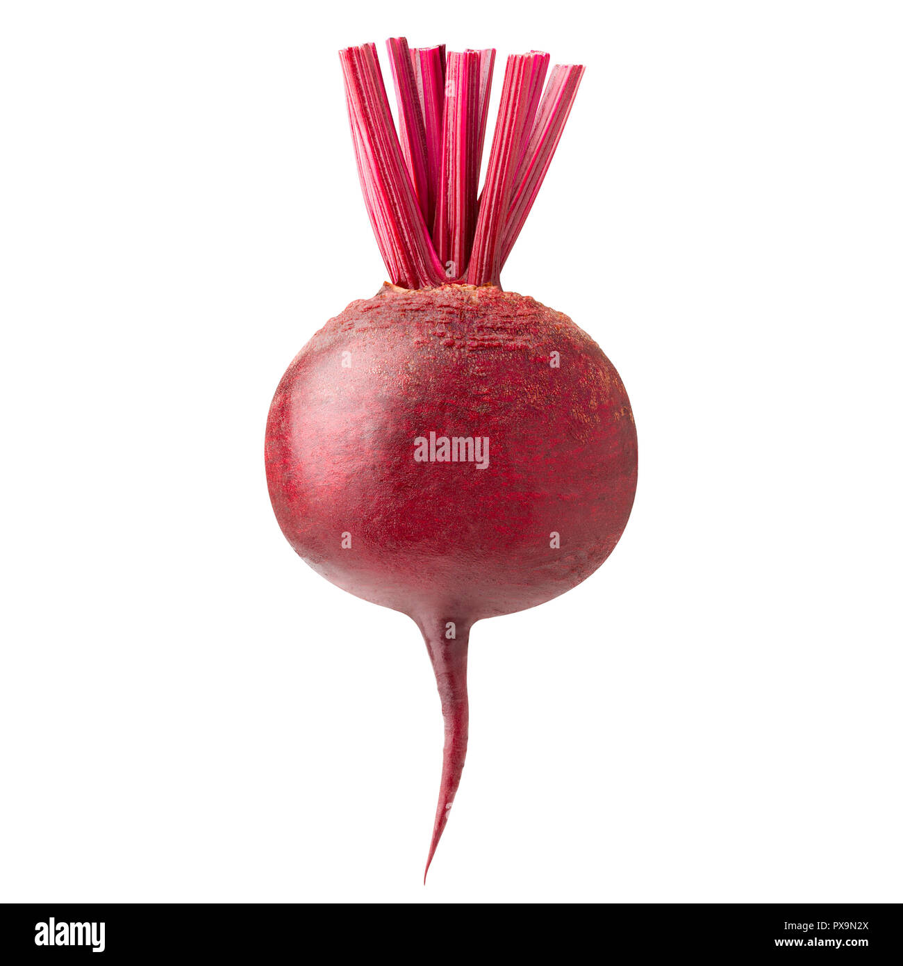 beetroot isolated on white background, clipping path, full depth of ...