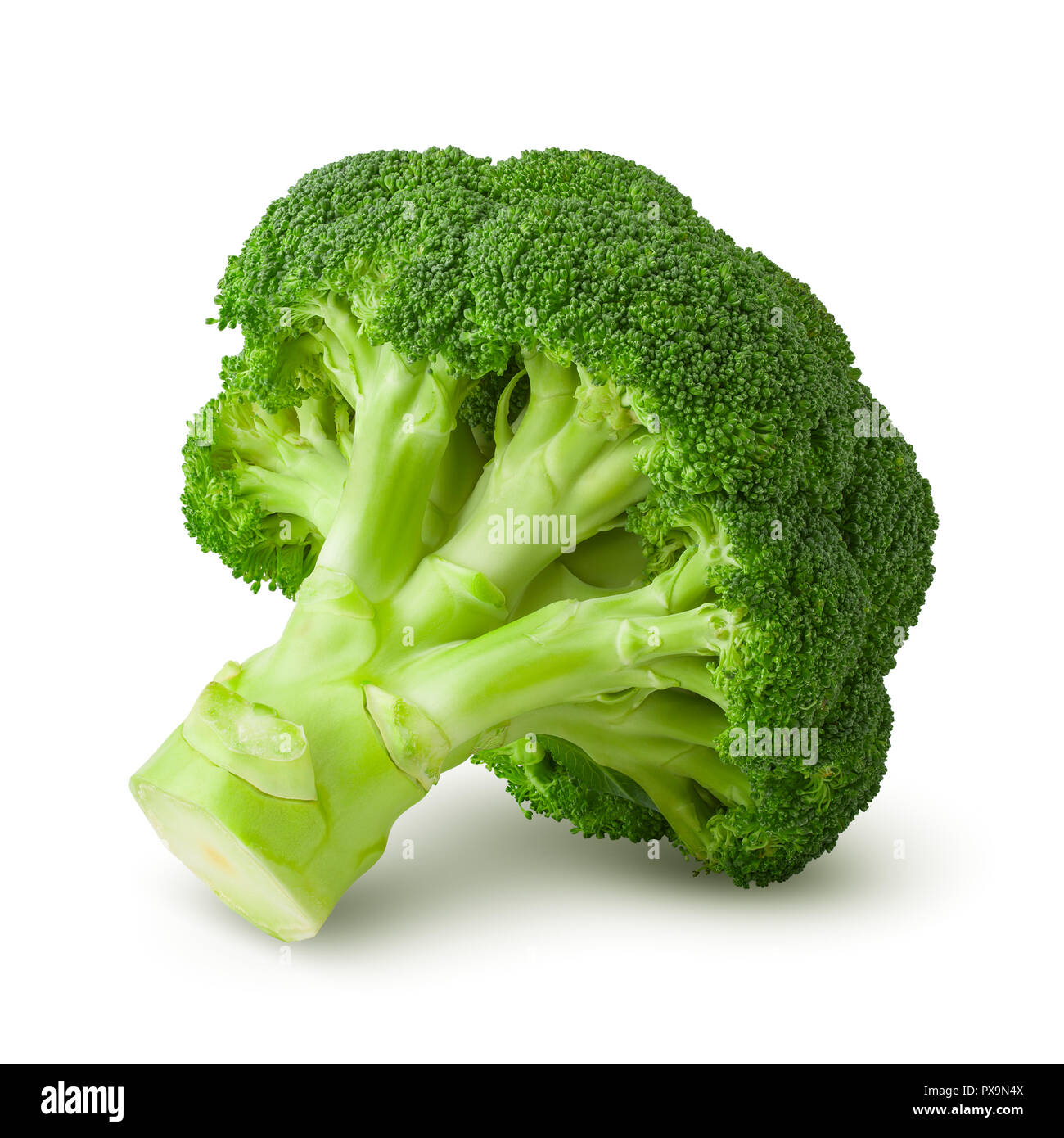 broccoli, isolated on white background, clipping path, full depth of ...