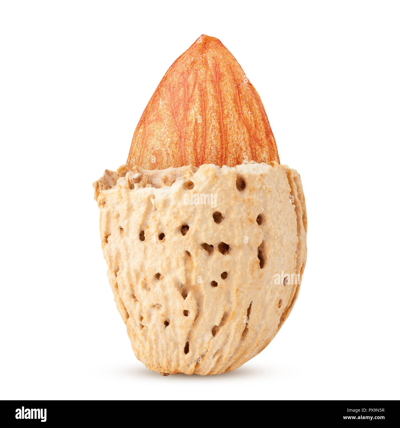 Almond nut in shell isolated on white background, clipping path, full ...
