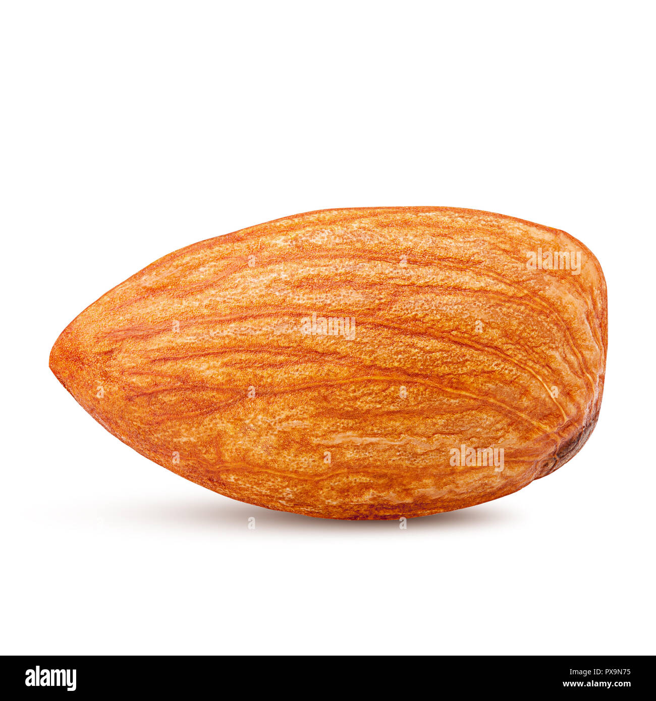 almond isolated on white background, clipping path, full depth of field ...