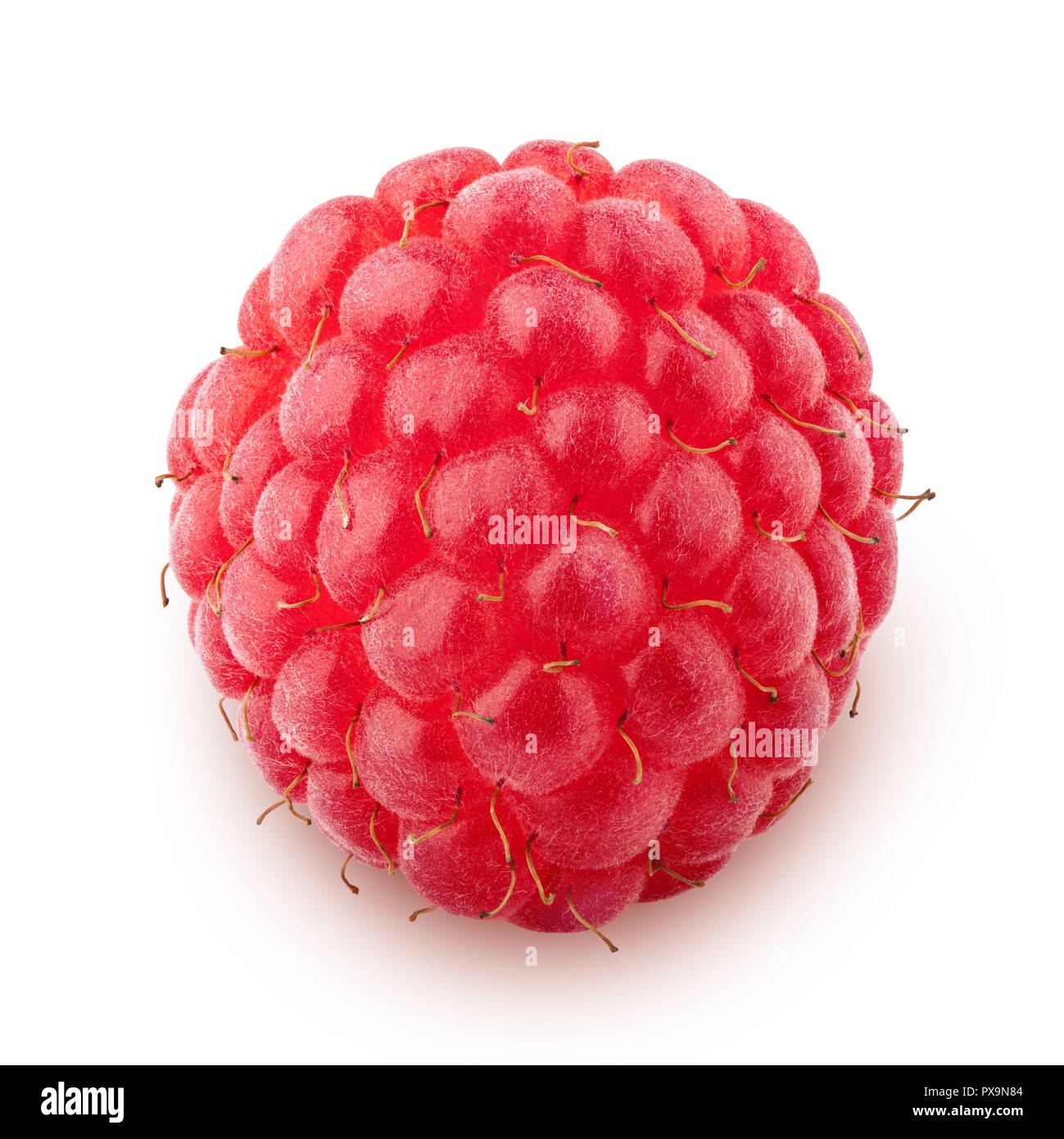 Raspberry isolated on white background, clipping path, full depth of field Stock Photo - Alamy