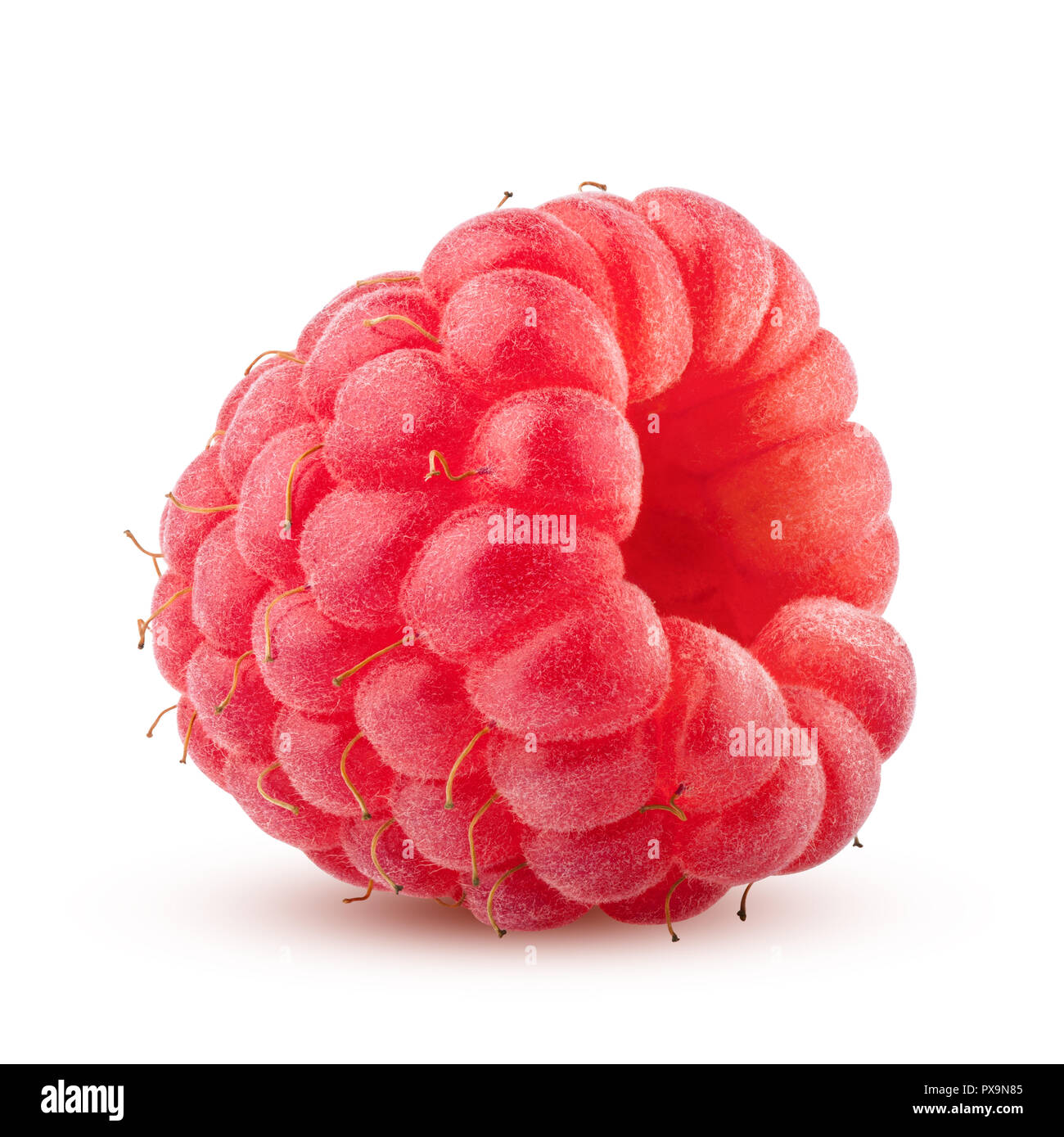 Raspberry isolated on white background, clipping path, full depth of ...