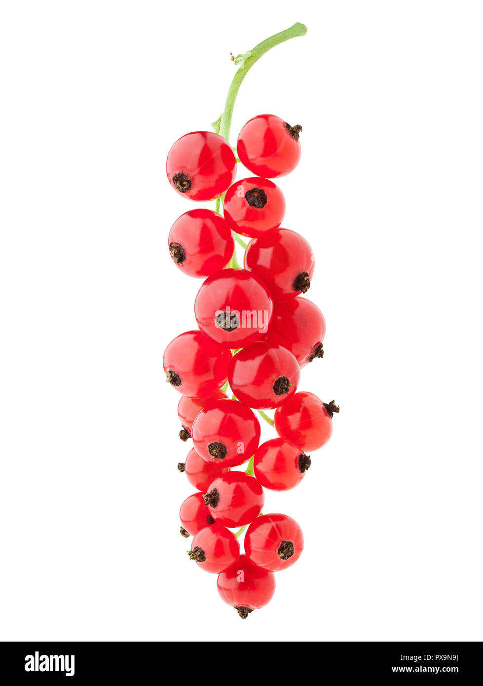 Red currant isolated on white background, clipping path, full depth of ...