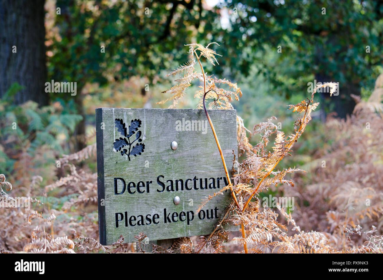 Deer Sanctuary sign Stock Photo - Alamy