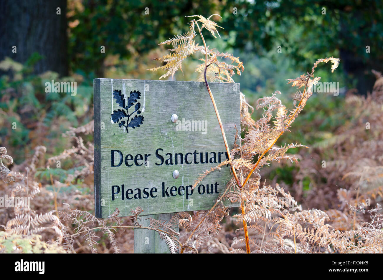 Deer Sanctuary sign Stock Photo - Alamy