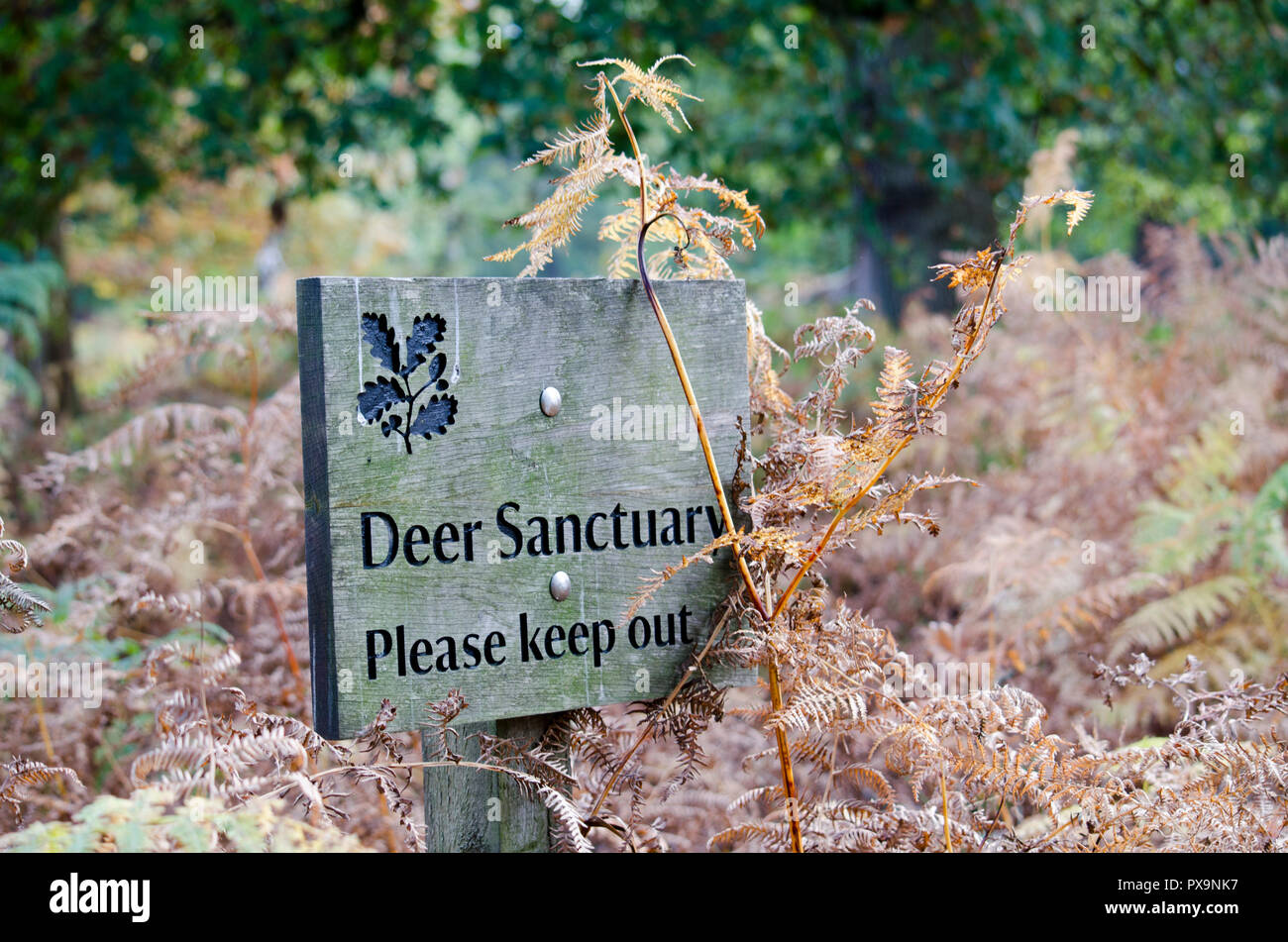 Deer Sanctuary sign Stock Photo - Alamy