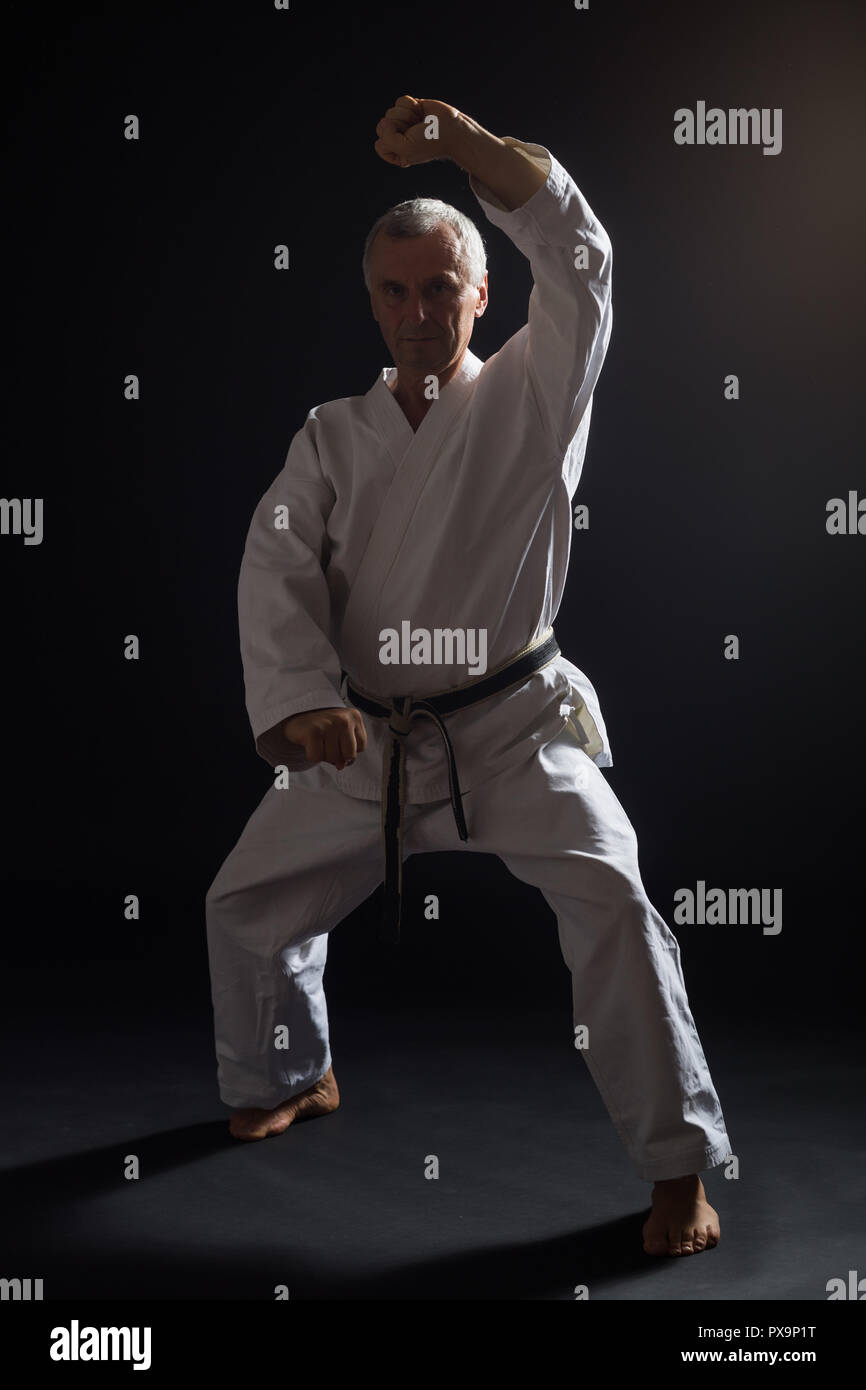 Senior man practicing karate Stock Photo - Alamy