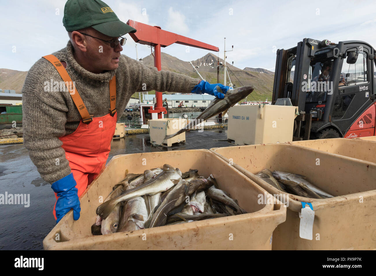 Fish iceland hi-res stock photography and images - Alamy