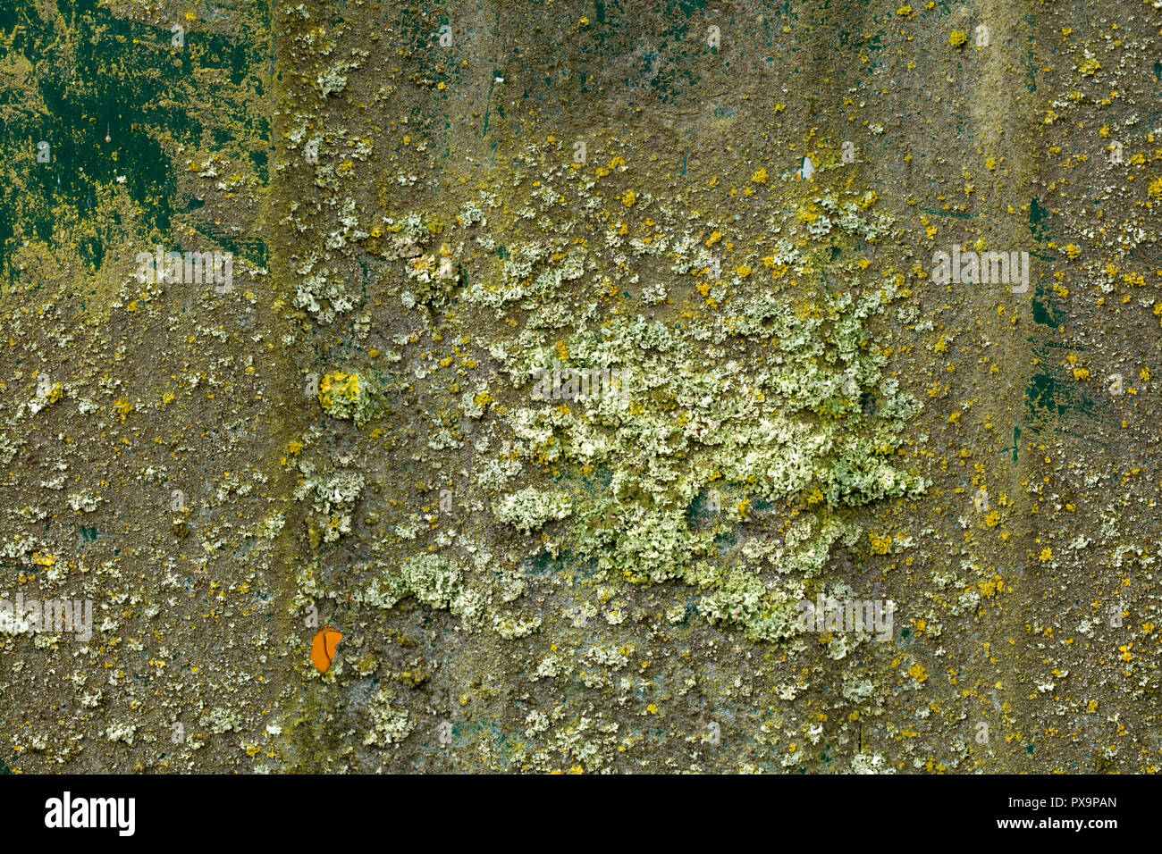 Sheet metal with traces of green Moss in Detail as Background Stock ...