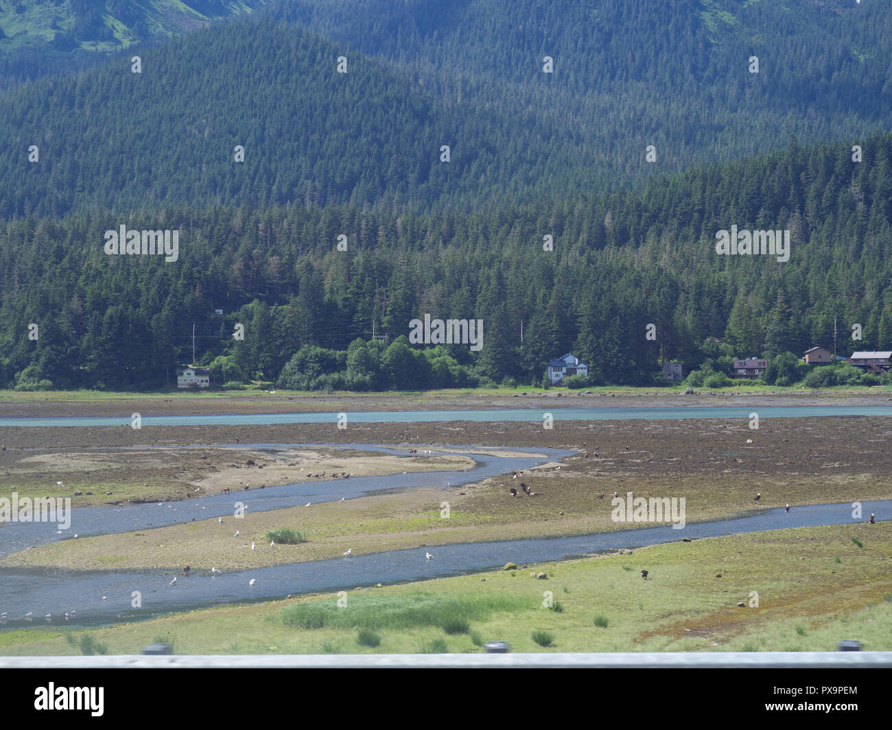 Blue hills wetlands hi-res stock photography and images - Alamy