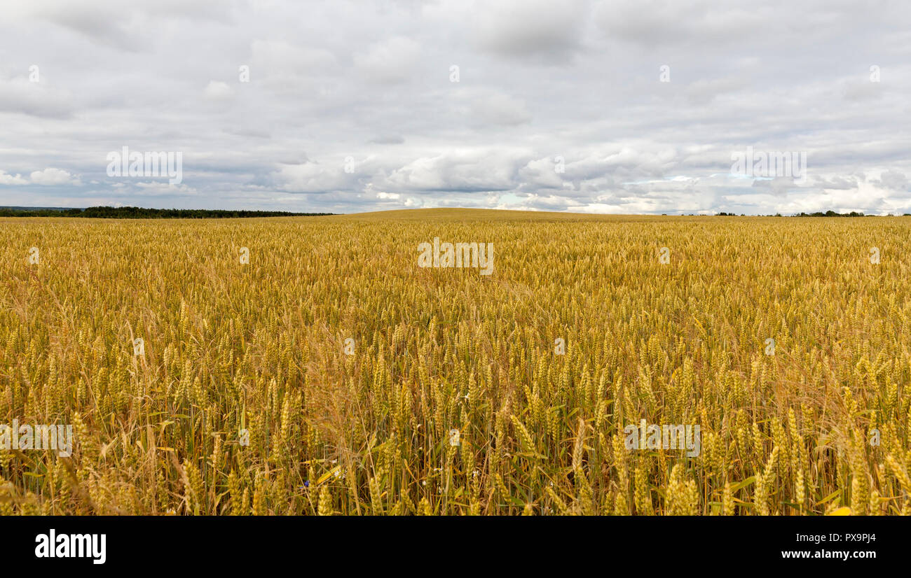 Seasons yield hi-res stock photography and images - Alamy