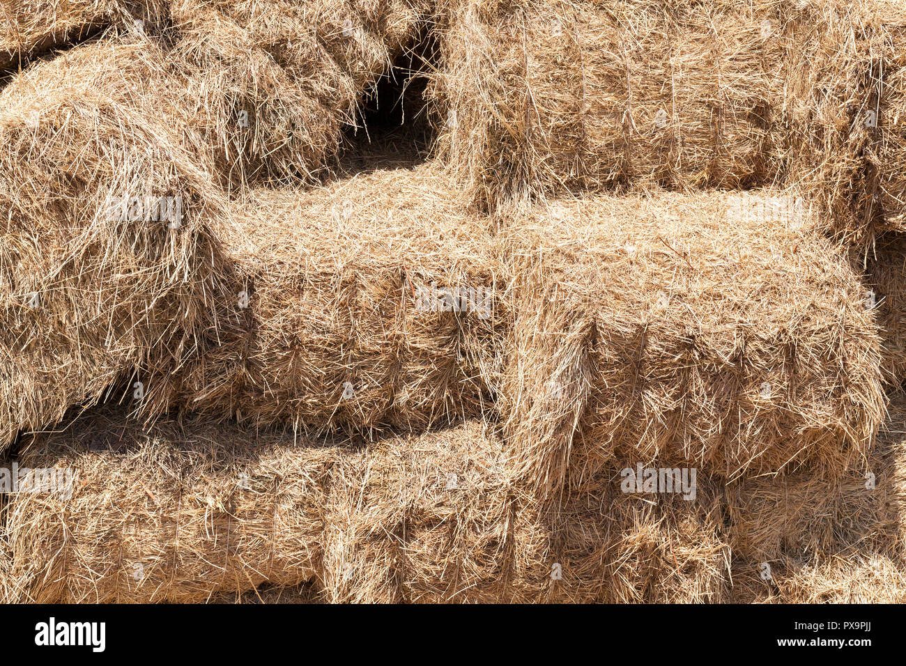 square tightly bound straw stacks that are stored indoors, closeup ...