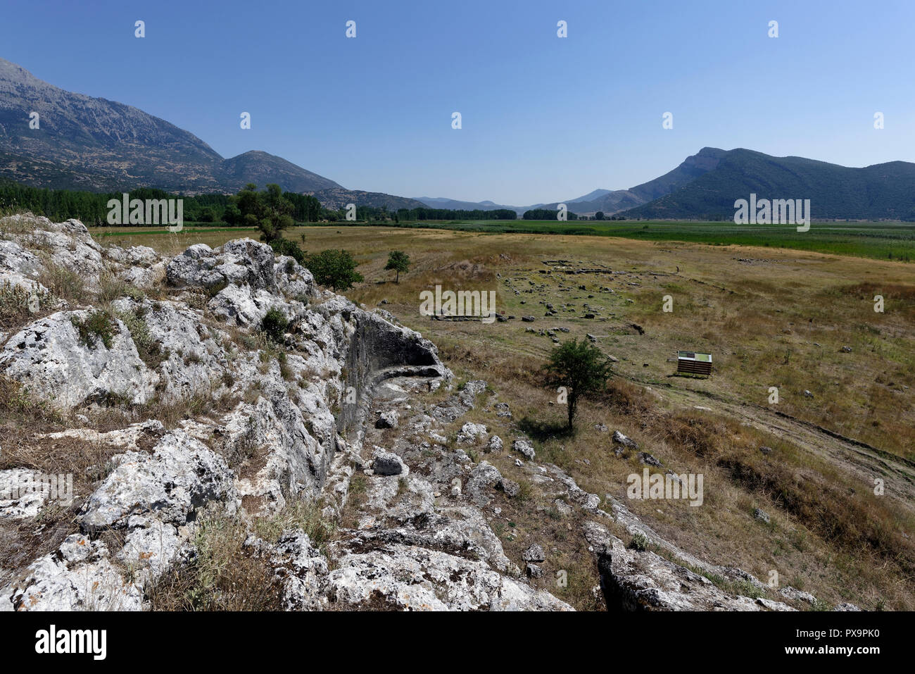 Stymphalia hi-res stock photography and images - Alamy