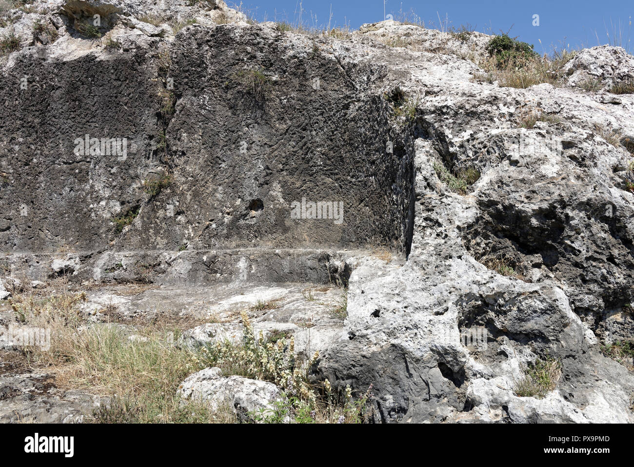 Stymphalian birds hi-res stock photography and images - Alamy