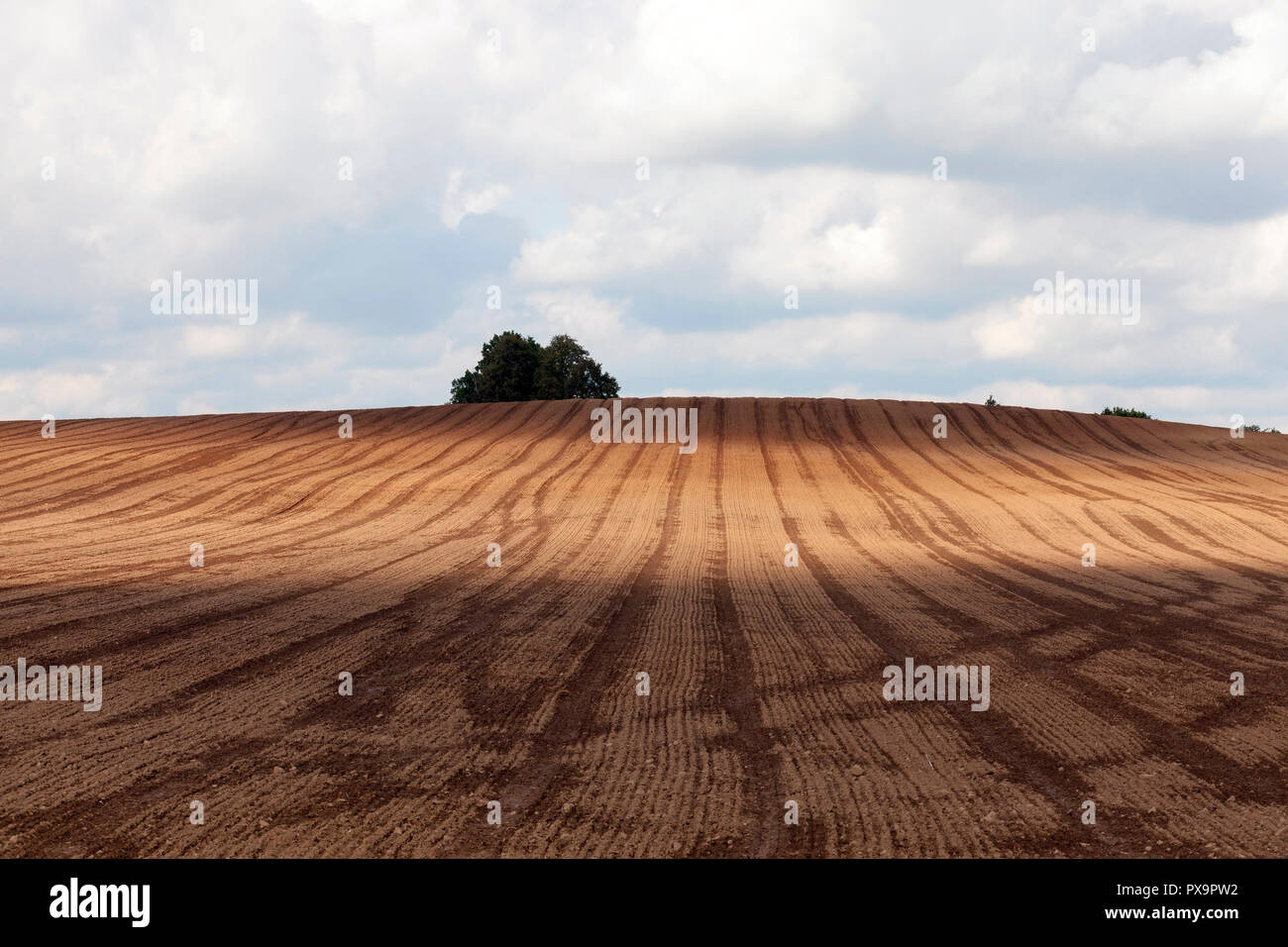 brown soil of a plowed field during the preparation of soil for sowing ...