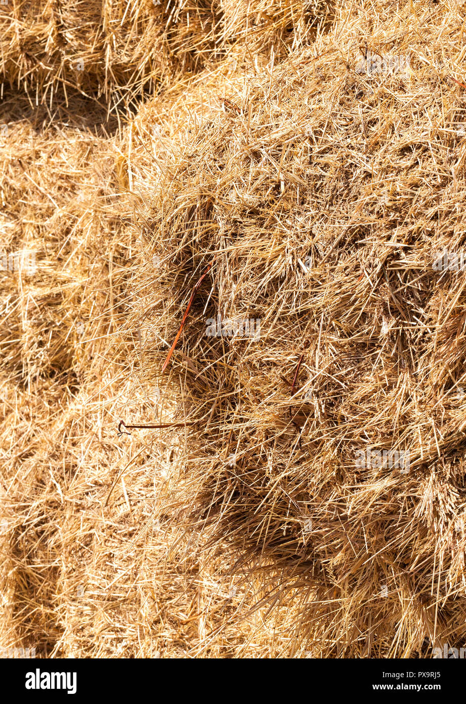 square tightly bound straw stacks that are stored indoors, closeup ...