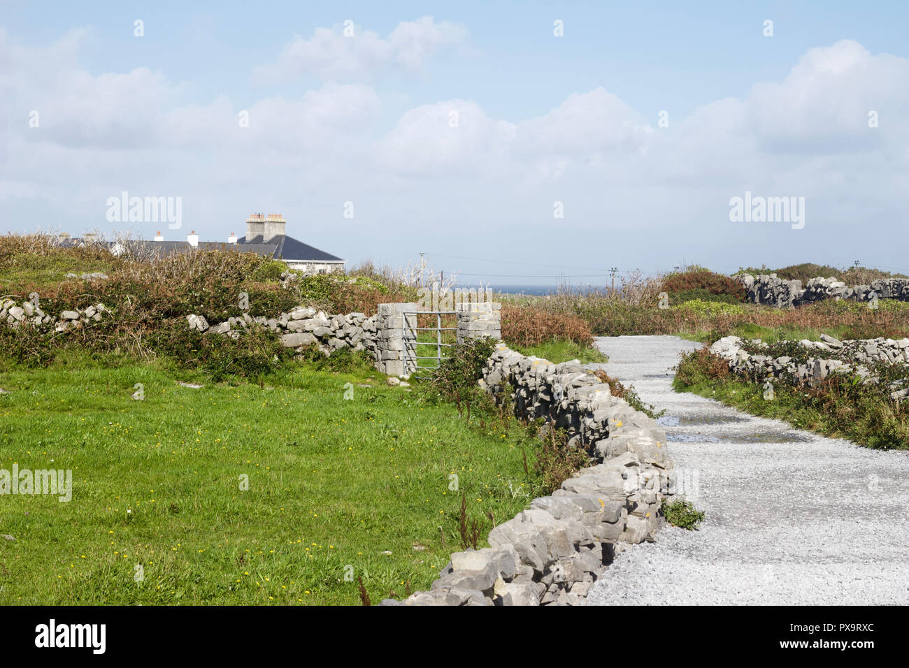 View of the countryside in rural Ireland with stone walls, grass ...