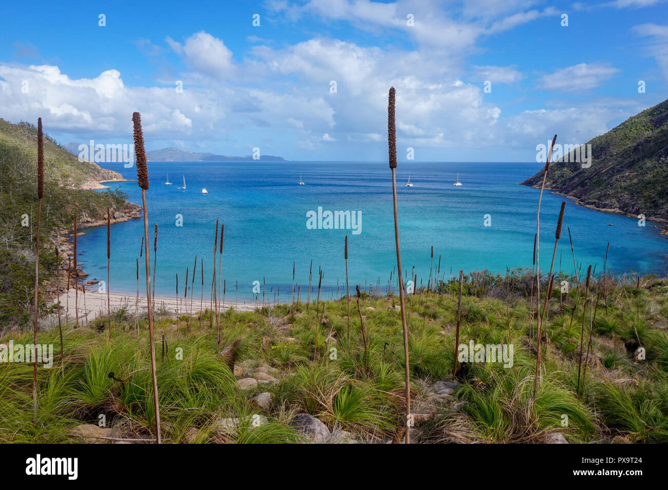 Cateran Bay, Border Island, Australia Stock Photo - Alamy