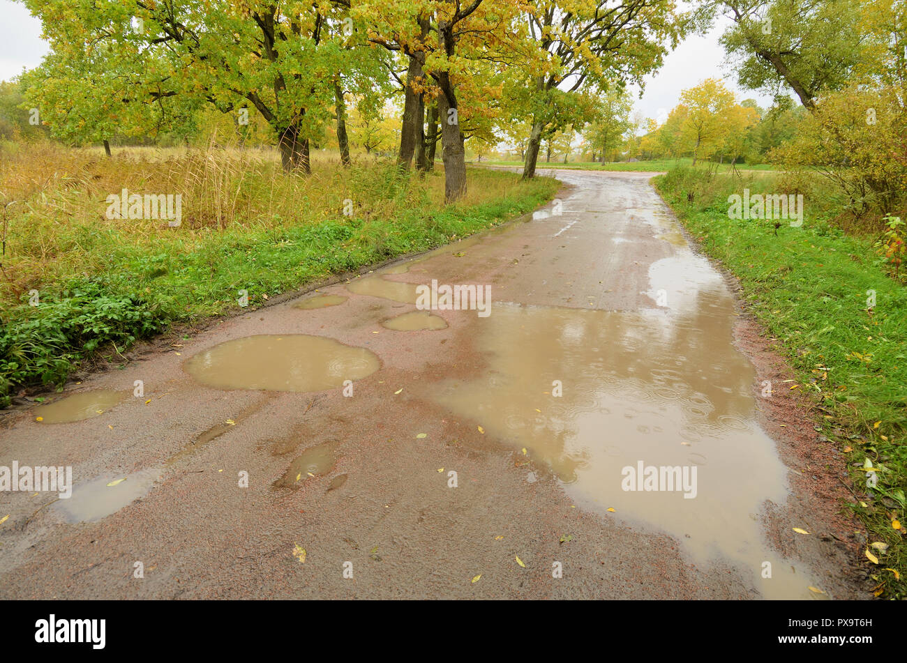 It's raining outside.On the road formed a big puddle Stock Photo - Alamy