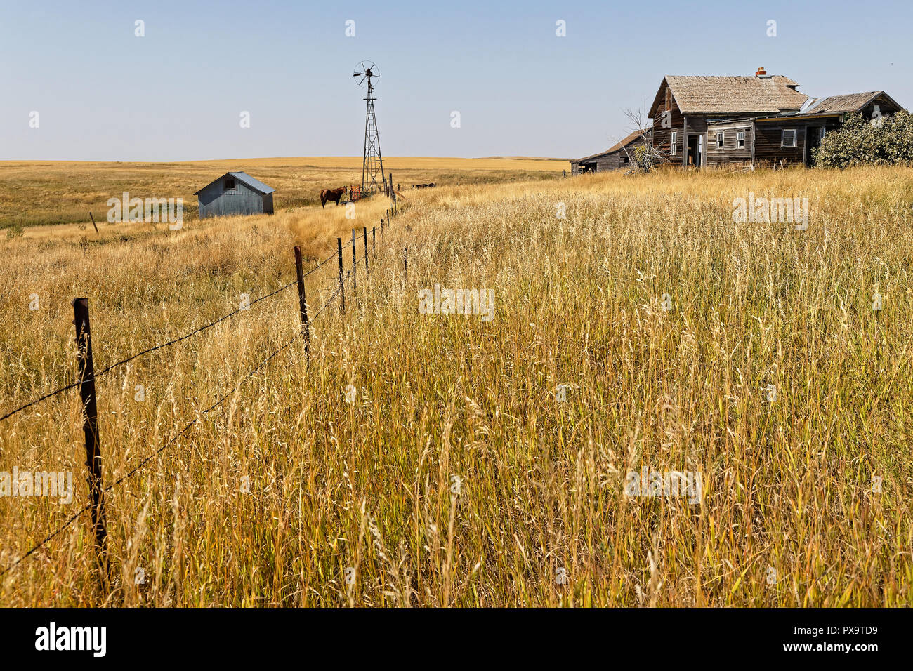 Old countryside stables hi-res stock photography and images - Alamy