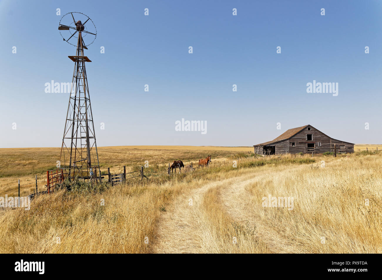 Old countryside stables hi-res stock photography and images - Alamy
