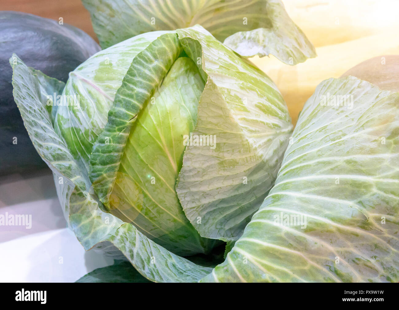 Large fresh cabbage Stock Photo - Alamy