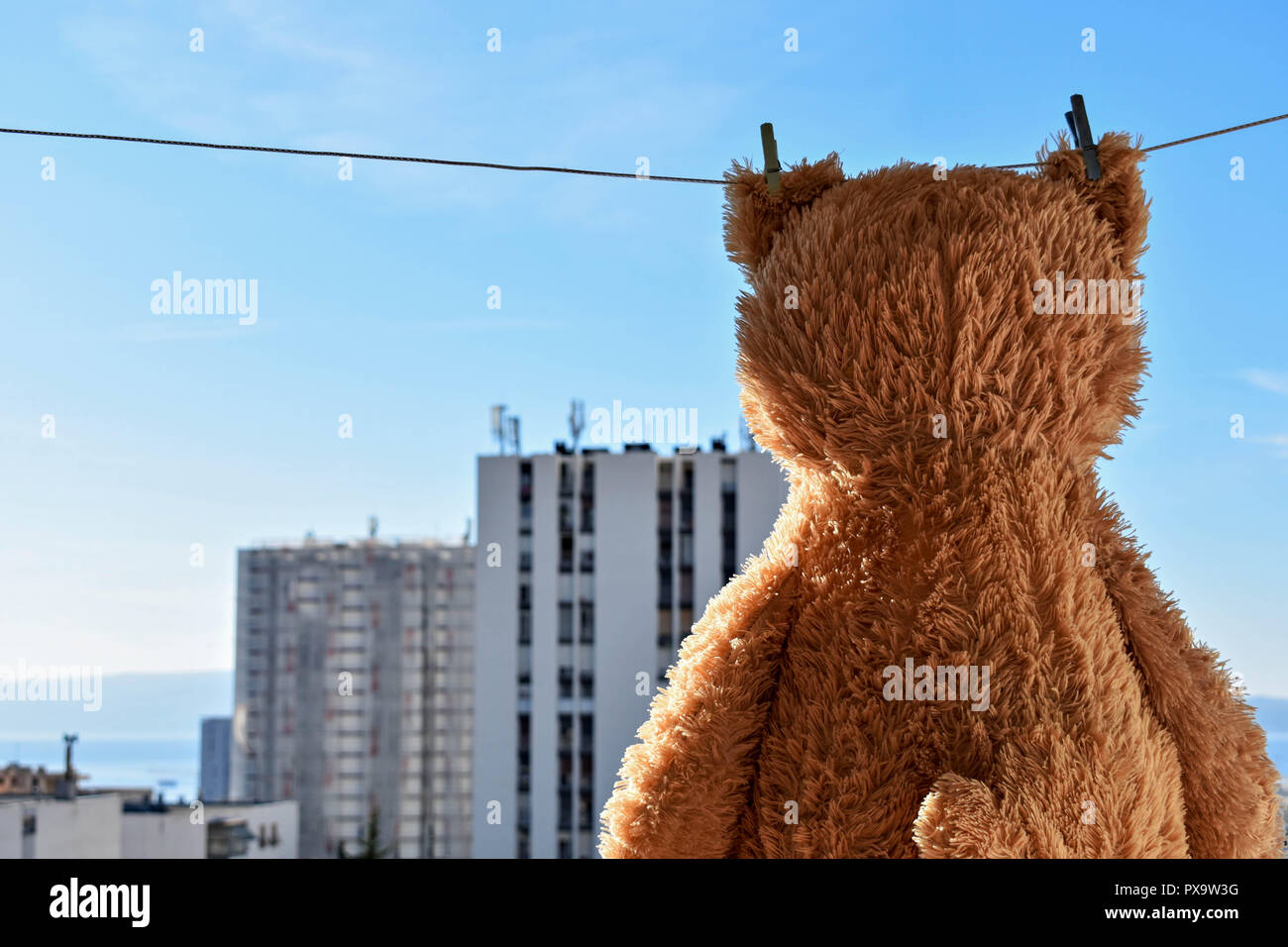 Hanging teddy bear hi-res stock photography and images - Alamy