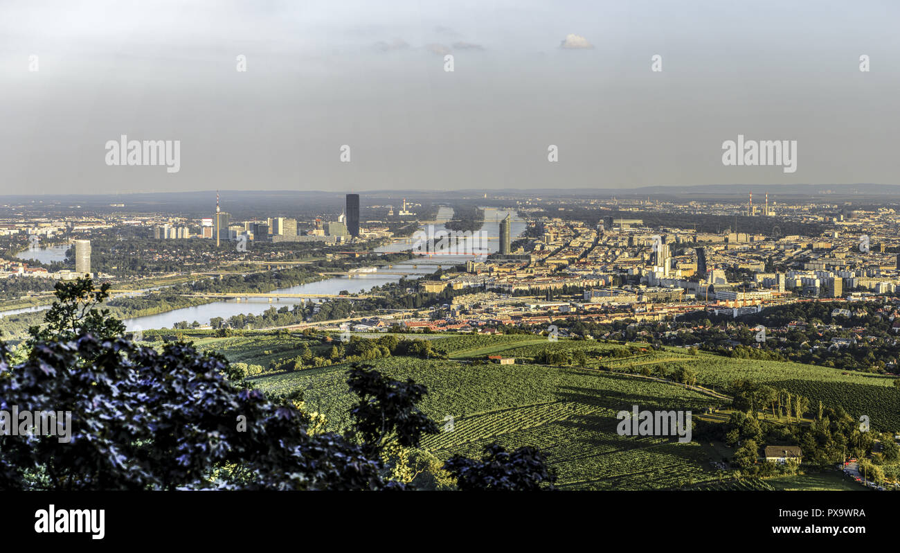 Wien, view from Wienerwald, Vienna, Austria, Central Europe Stock Photo ...
