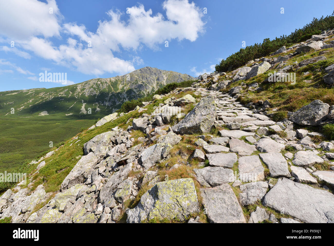 Summer landscape of polish Tatry mountains Stock Photo - Alamy