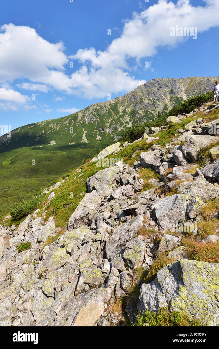 Summer landscape of polish Tatry mountains Stock Photo - Alamy