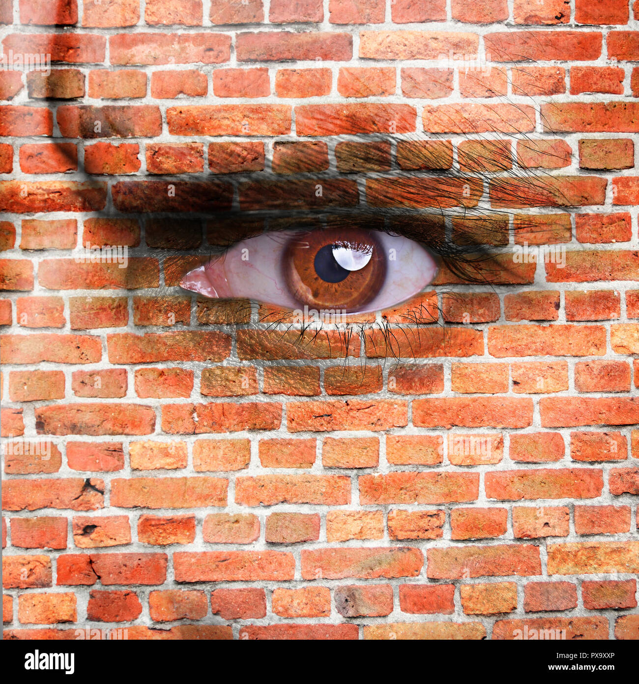 Face Brick For Walls