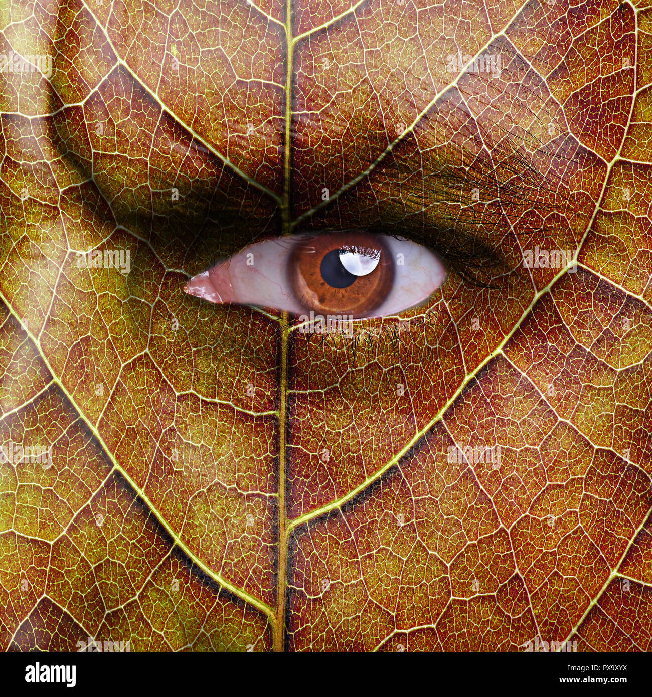 face with autumn leaf texture Stock Photo - Alamy