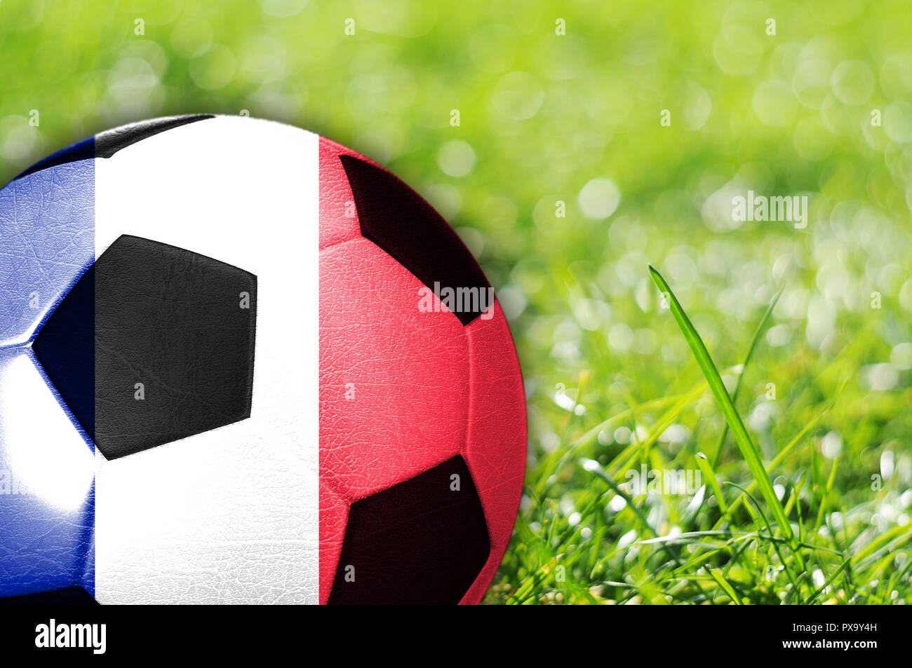 French national soccer team player hi-res stock photography and images ...
