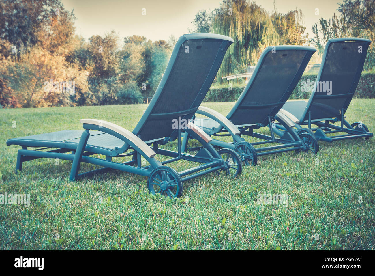 Caught Tanning In The Back Yard